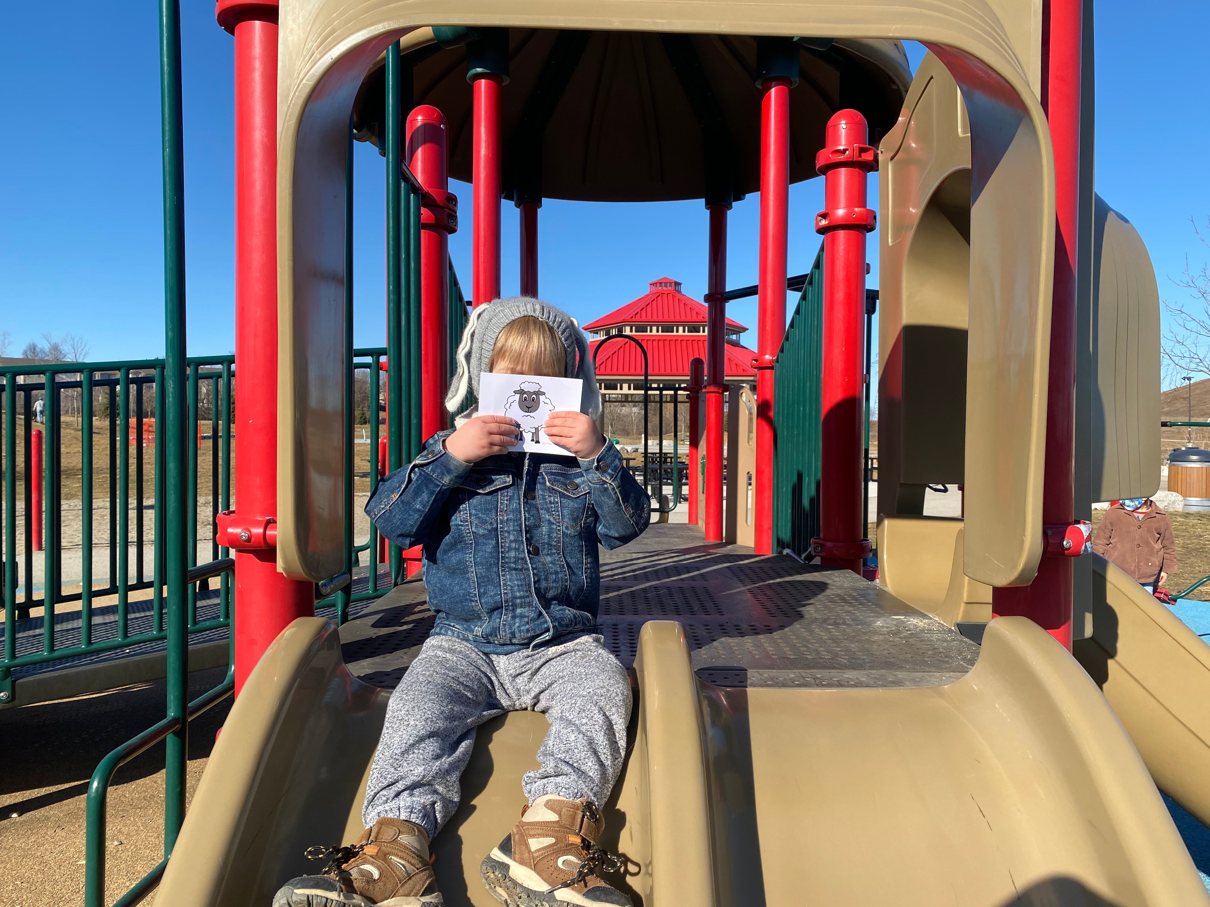 Little Sheep in the Wild – Little Sheep Shop
